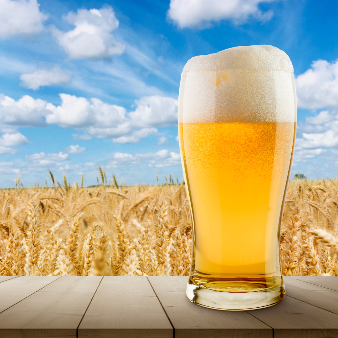 Non-Alcoholic Blondes – Designated Drinks